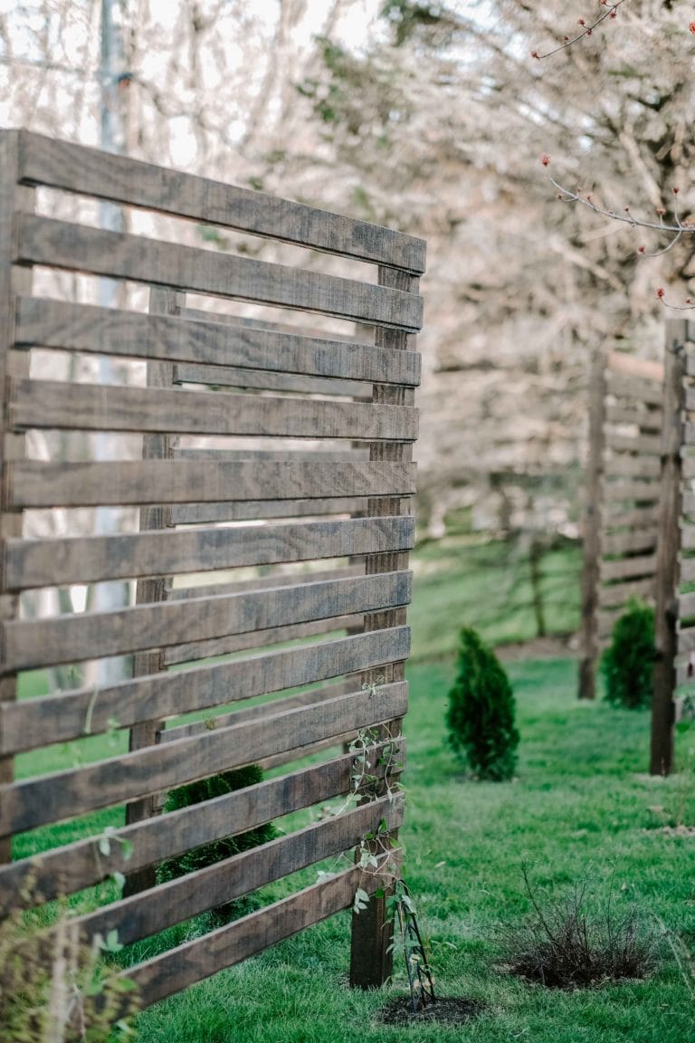 Create Some Backyard Privacy Landscaping With These Beautiful Trellises ...