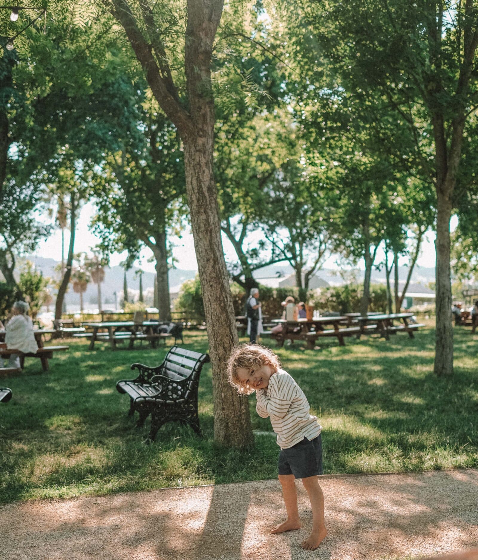 Things To Do in Napa Valley With Kids (So That Everyone Can Have a Good ...