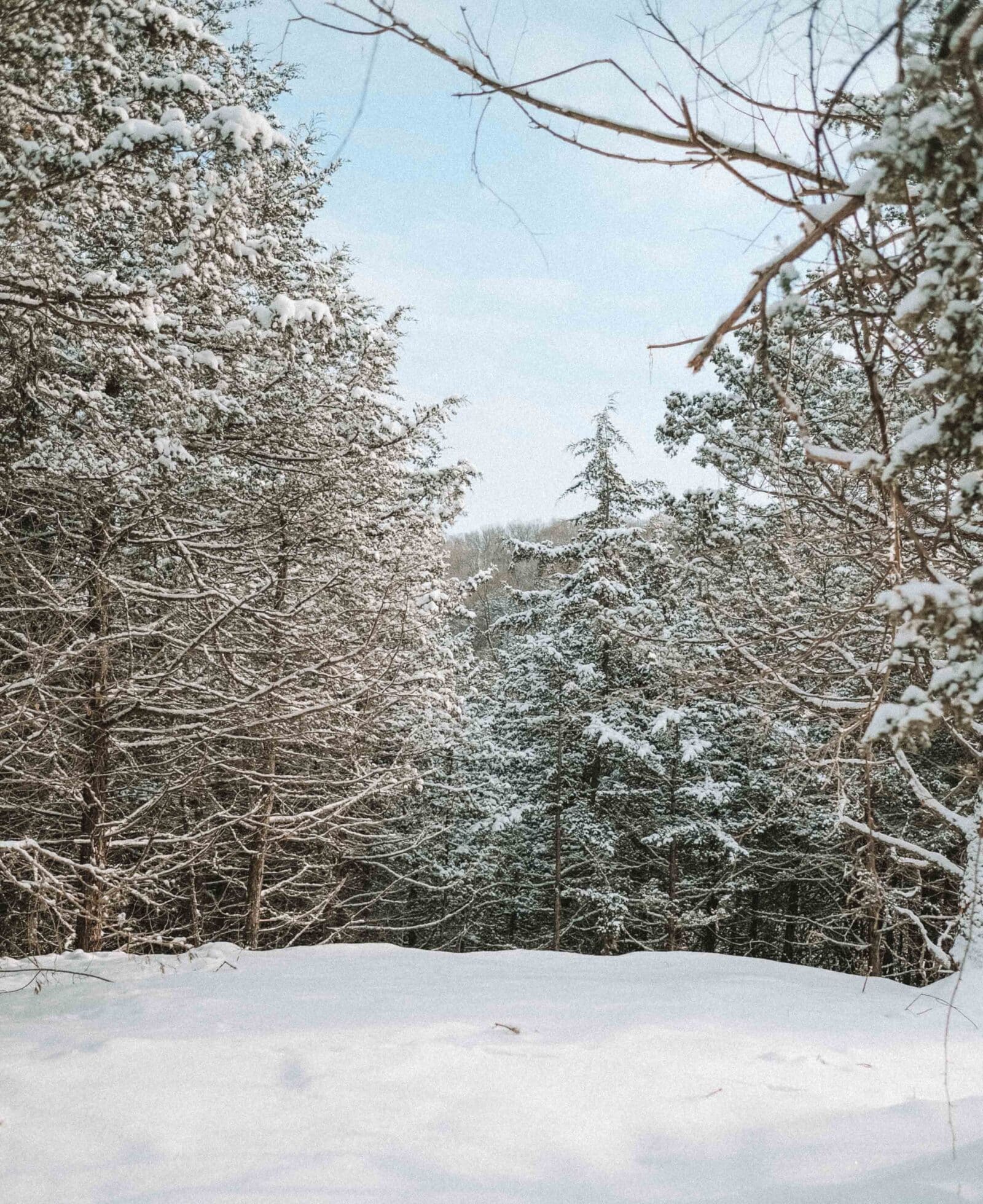 Home Build | Winter Land Tour - MY CHIC OBSESSION