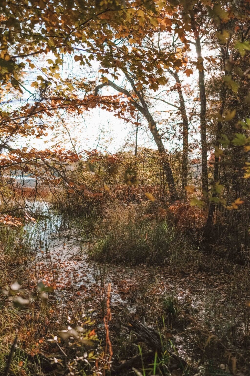 Wisconsin Fall Family Weekend Getaway Photo Diary - MY CHIC OBSESSION