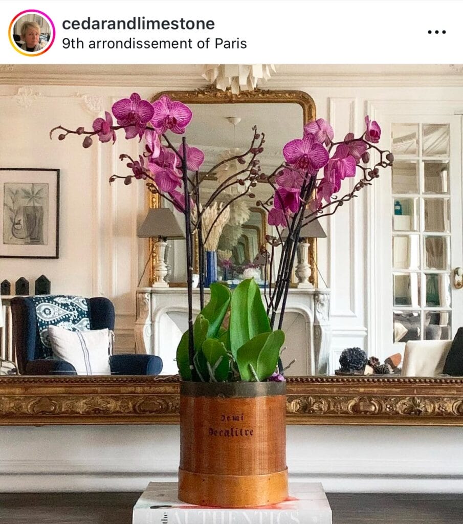 15 Parisian Apartment Decorating Tips to Elevate Your Space - MY CHIC ...